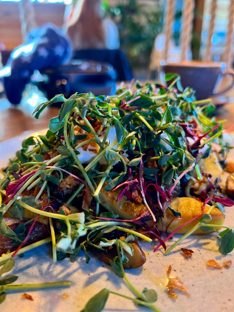 Yolk Farm – Minskip, North Yorkshire – Go everywhere, Do everything